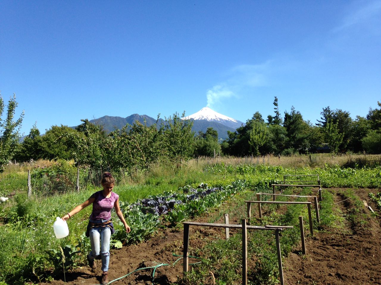 Convencidos de que una huerta puede cambiar el mundo - Araucanía