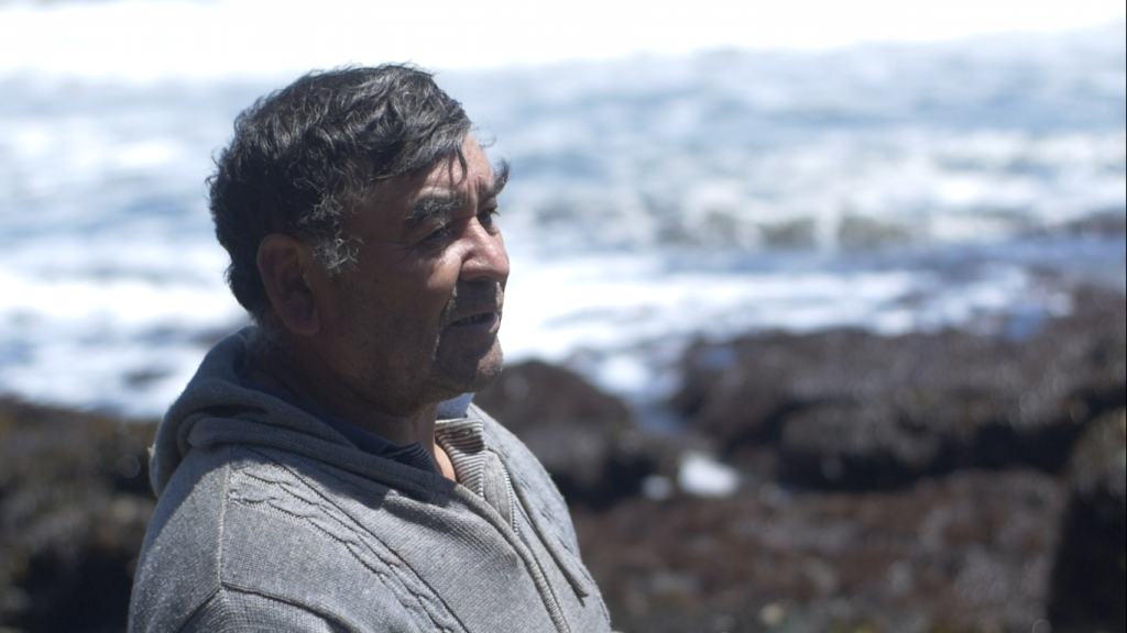 Wallmapu desde los conocimientos: 13C estrena serie documental que ...