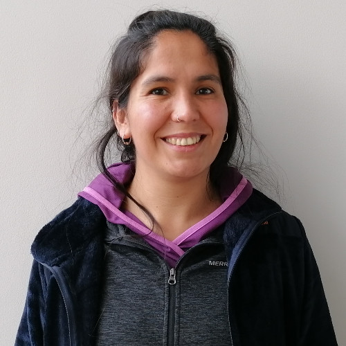 Quiénes Somos - Araucanía