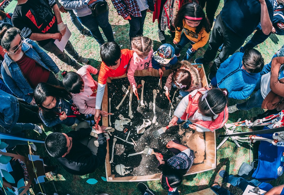 ¿Quién dijo que la ciencia es fome? - Biobío