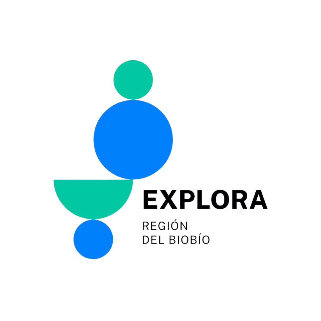 Quiénes Somos - Biobío