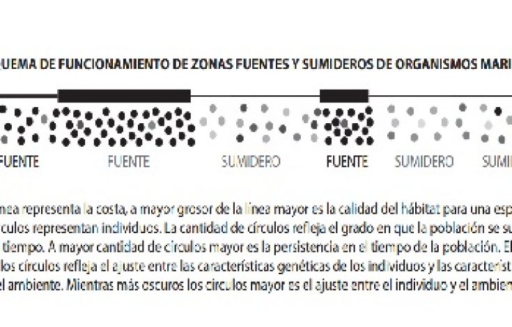 La opinión de la ciencia: Zonas Fuentes y Sumideros de organismos ...
