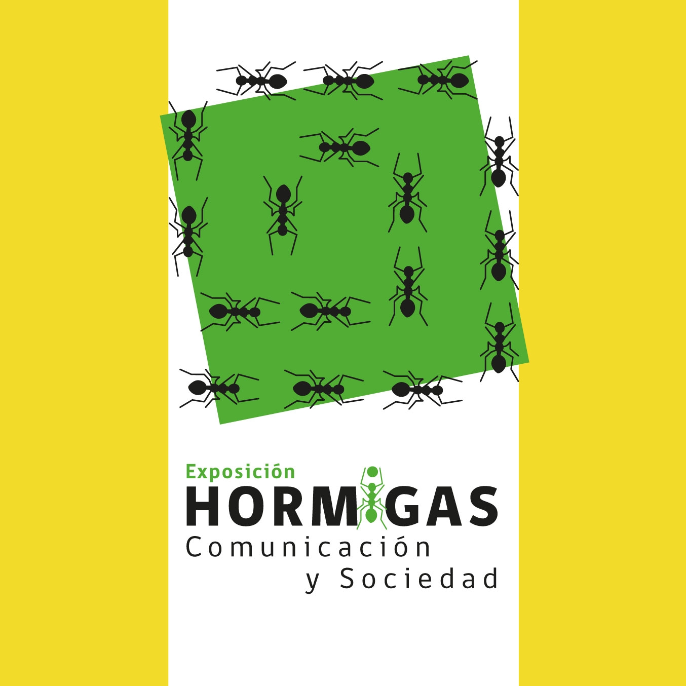 EXPLORA Los Lagos presentará muestra interactiva “Hormigas ...