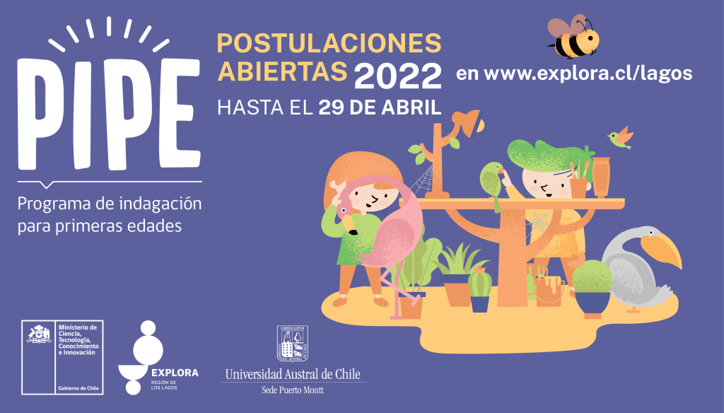 Abiertas Postulaciones a PIPE Programa de Indagación para Primeras ...