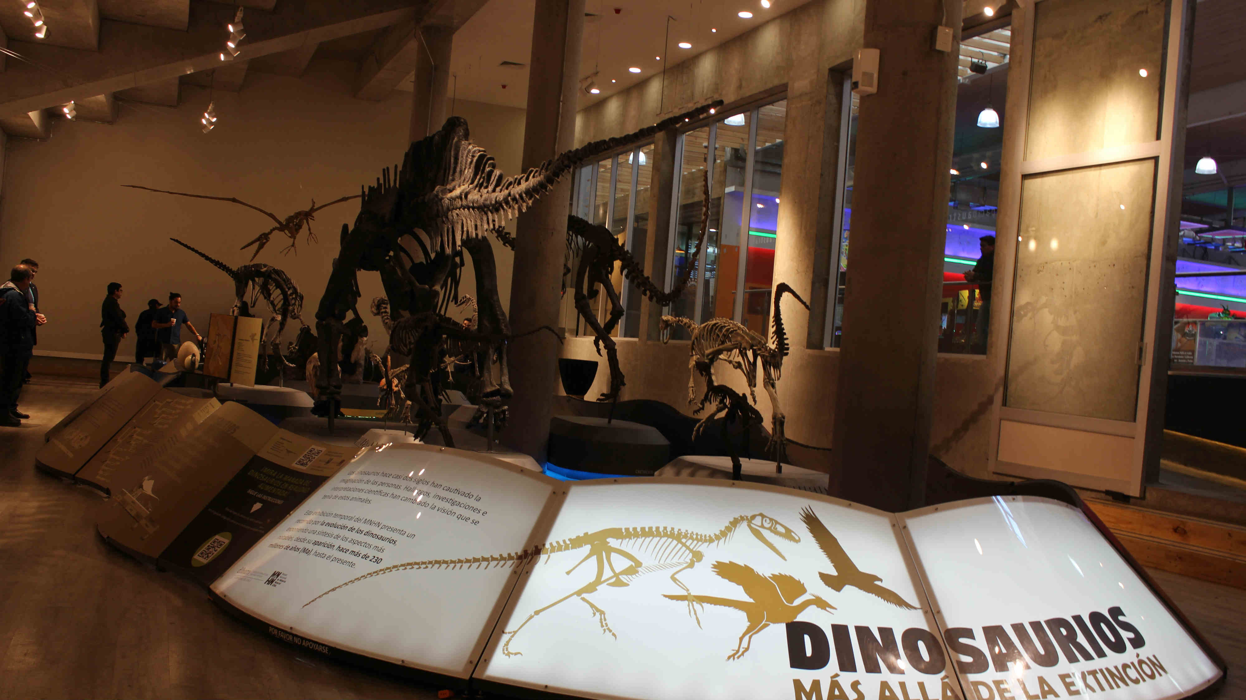“Dinosaurios, más allá de la extinción” en Punta Arenas - Magallanes