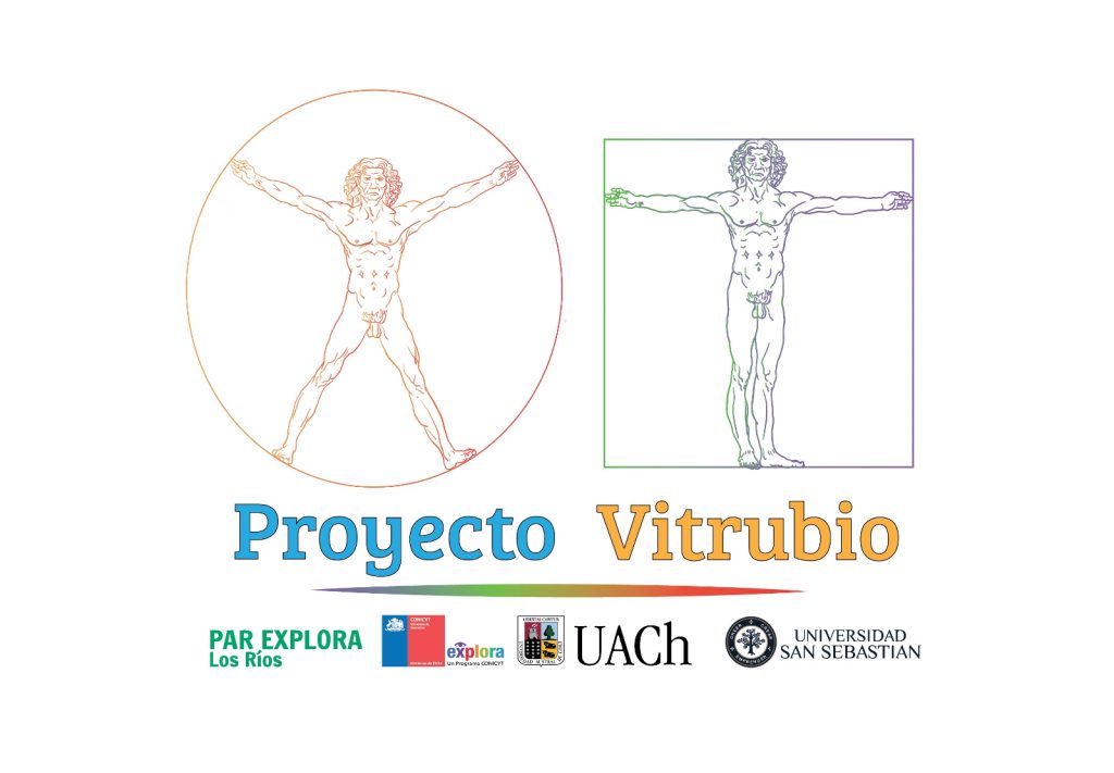 Descubre tus capacidades y exprésate en el Proyecto Vitrubio - Los Ríos