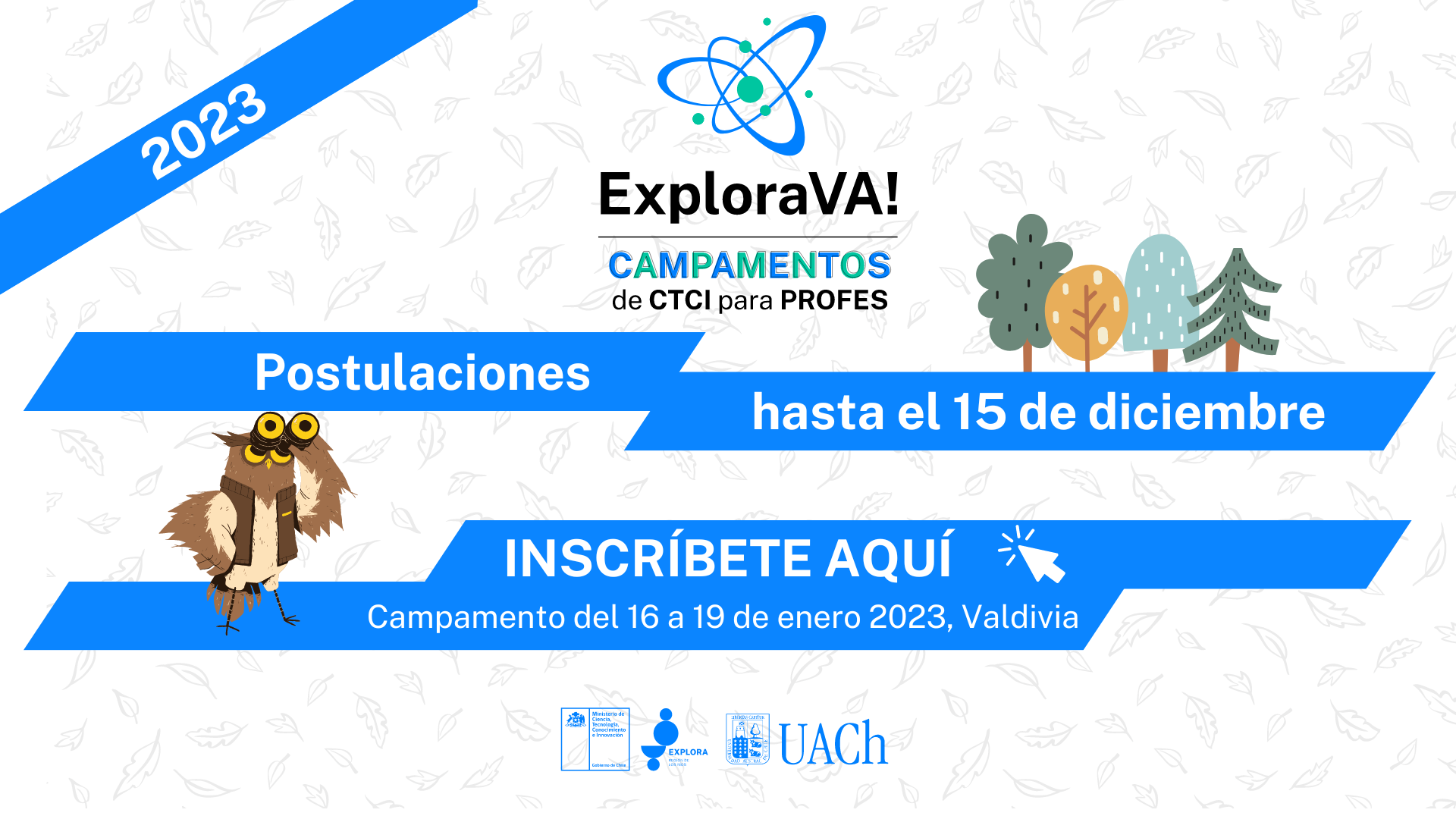 "Campamento Explora VA!" Campamento de CTCI para Profesores - Los Ríos