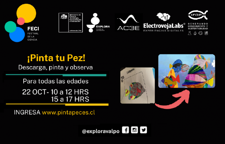 ¡A nadar en un océano virtual con Pinta tu Pez en el Festival de la ...