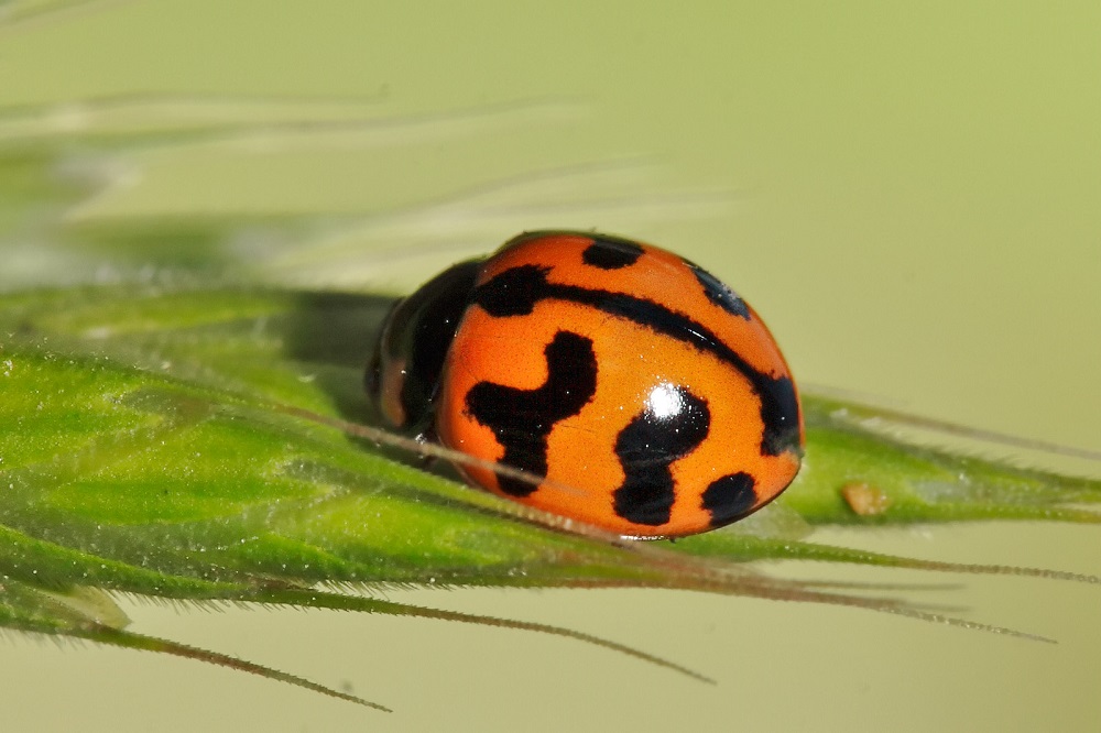 Columna de Opinión SNCyT: La experiencia de una de las jóvenes chilenas ...